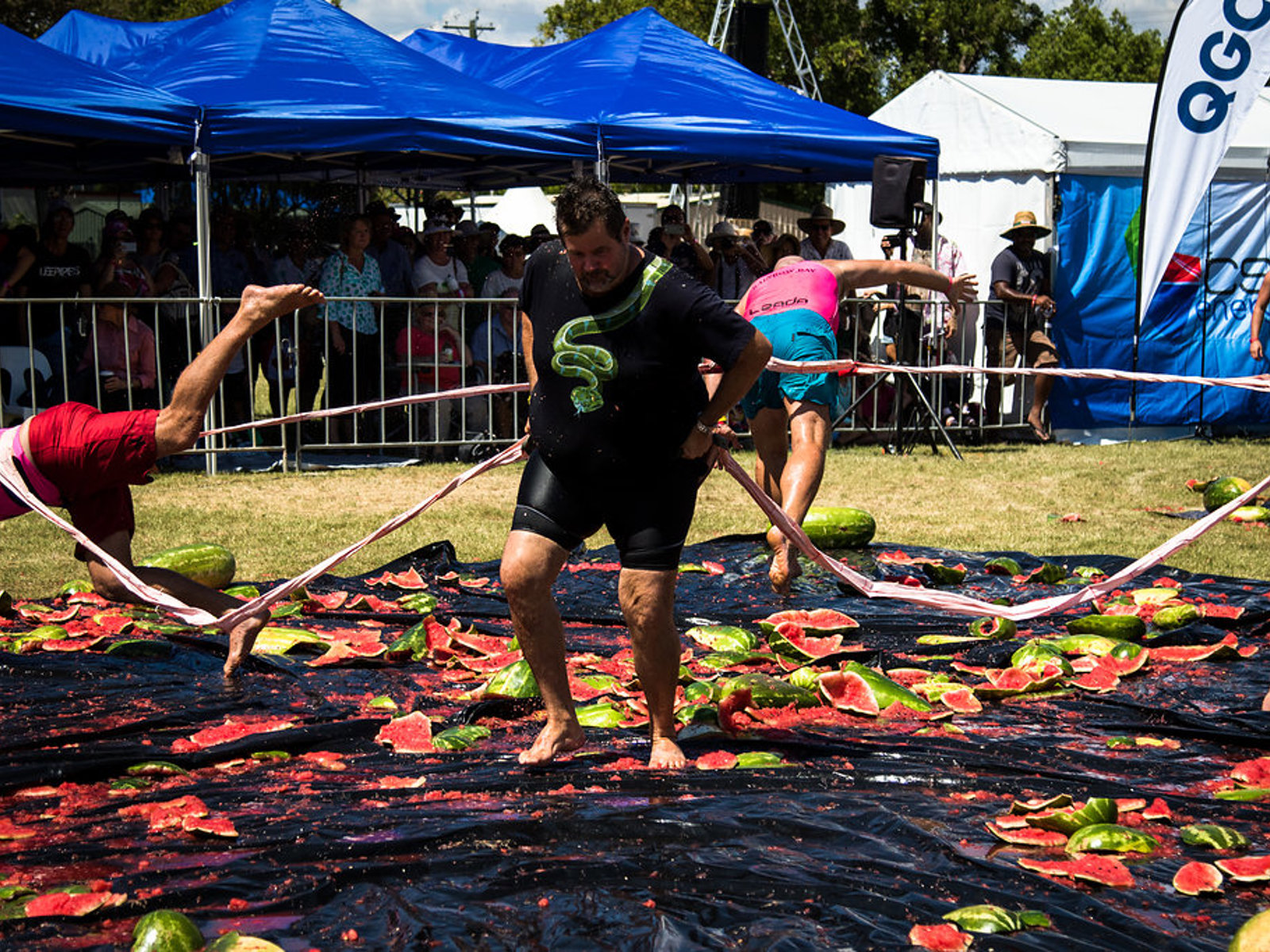 Activities | Melon Festival