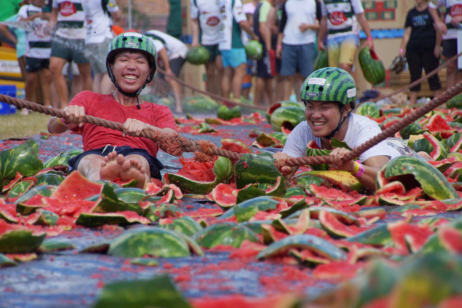 Chinchilla Melon Festival Gallery of Images