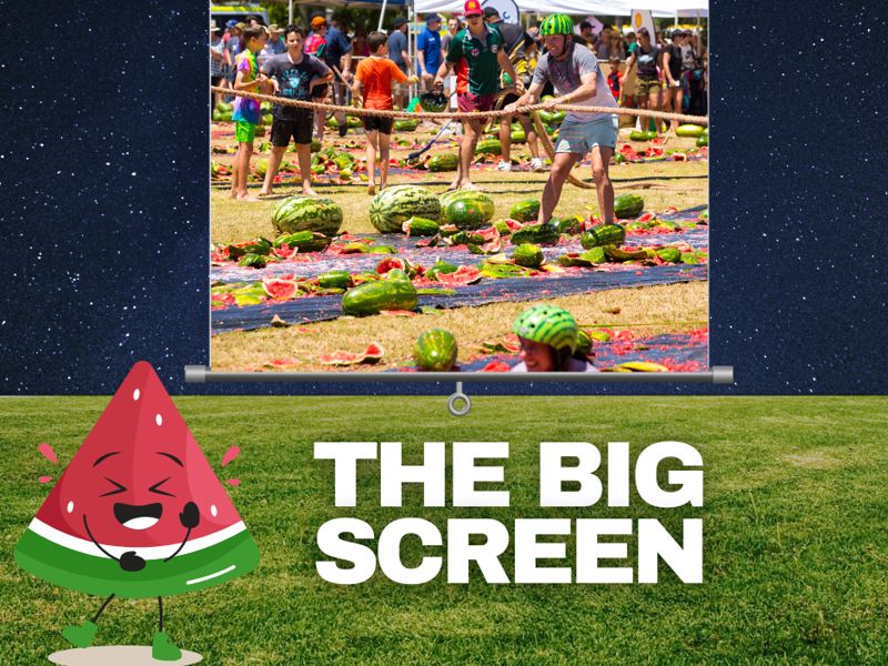 Activities | Melon Festival