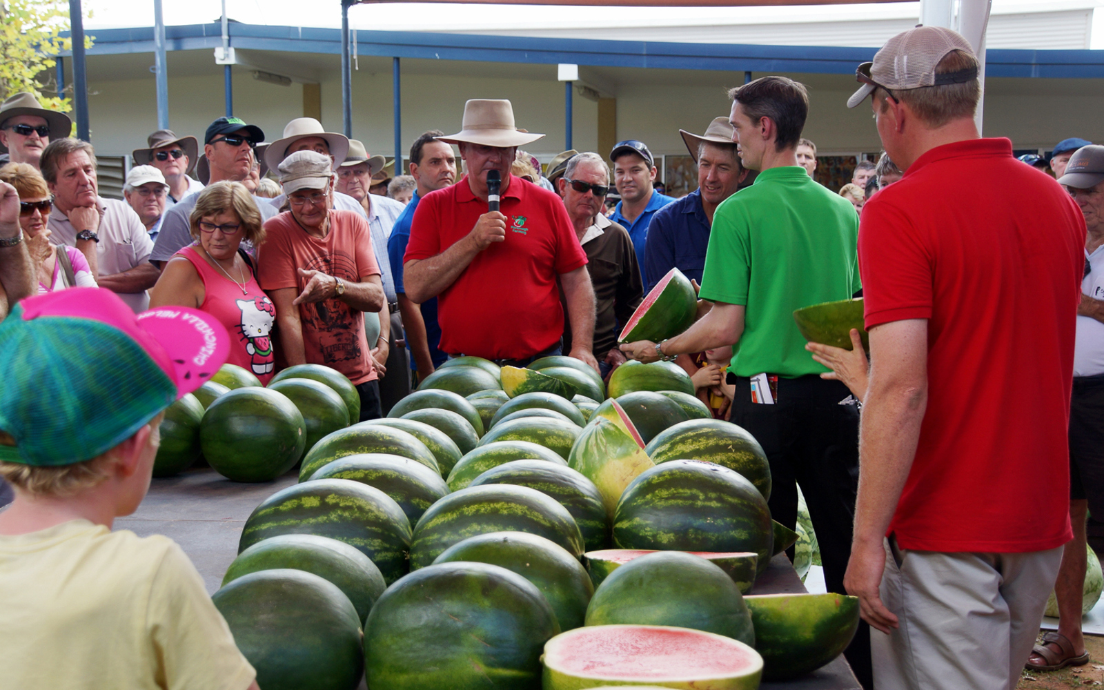 Chinchilla Melon Festival Gallery of Images